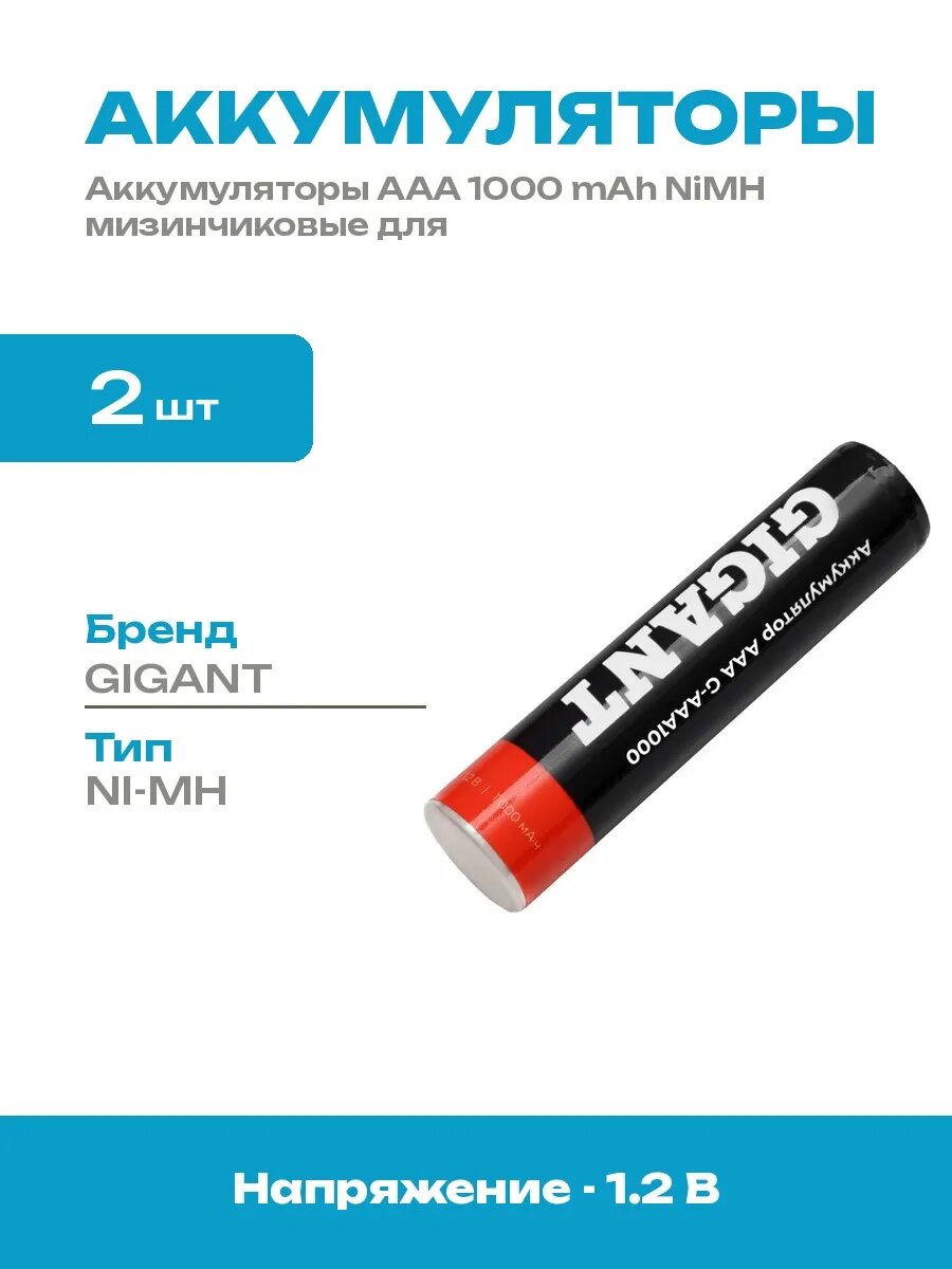Аккумуляторы AAA 1000 mAh мизинчиковые NiMH набор 2 штуки