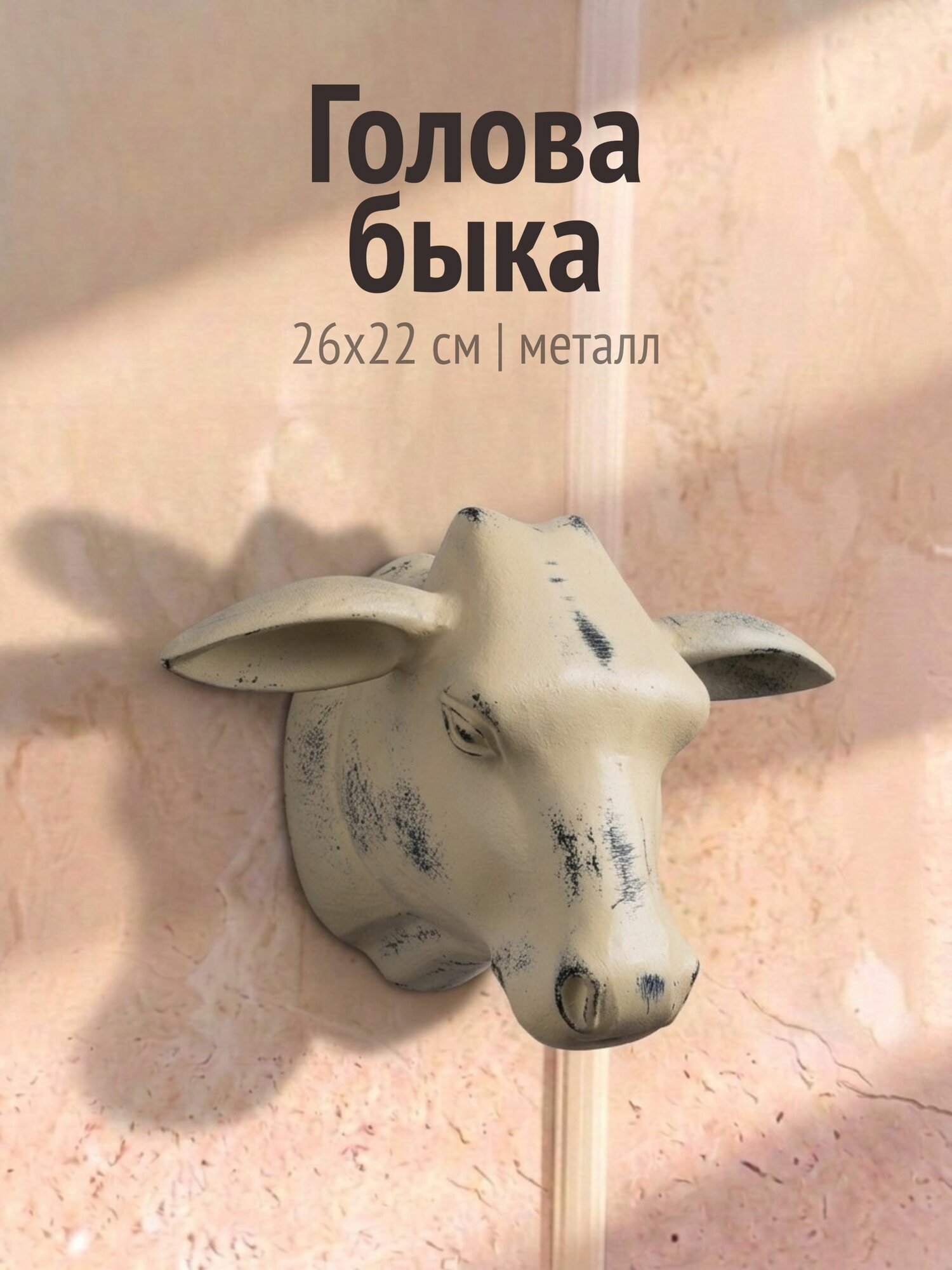 Голова быка, 26x22 см, металл, Нидерланды