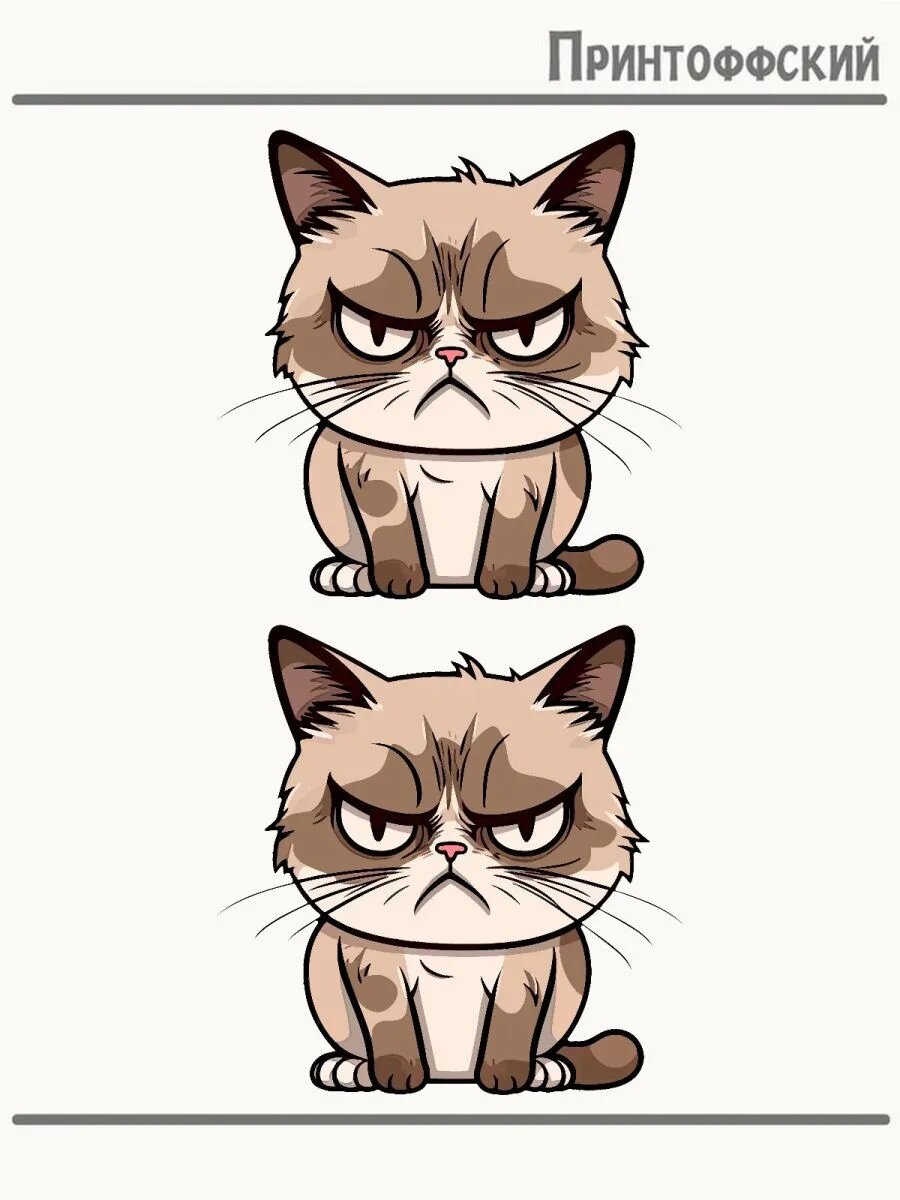 2-е (Две) Термонаклейки с котиком злой кот