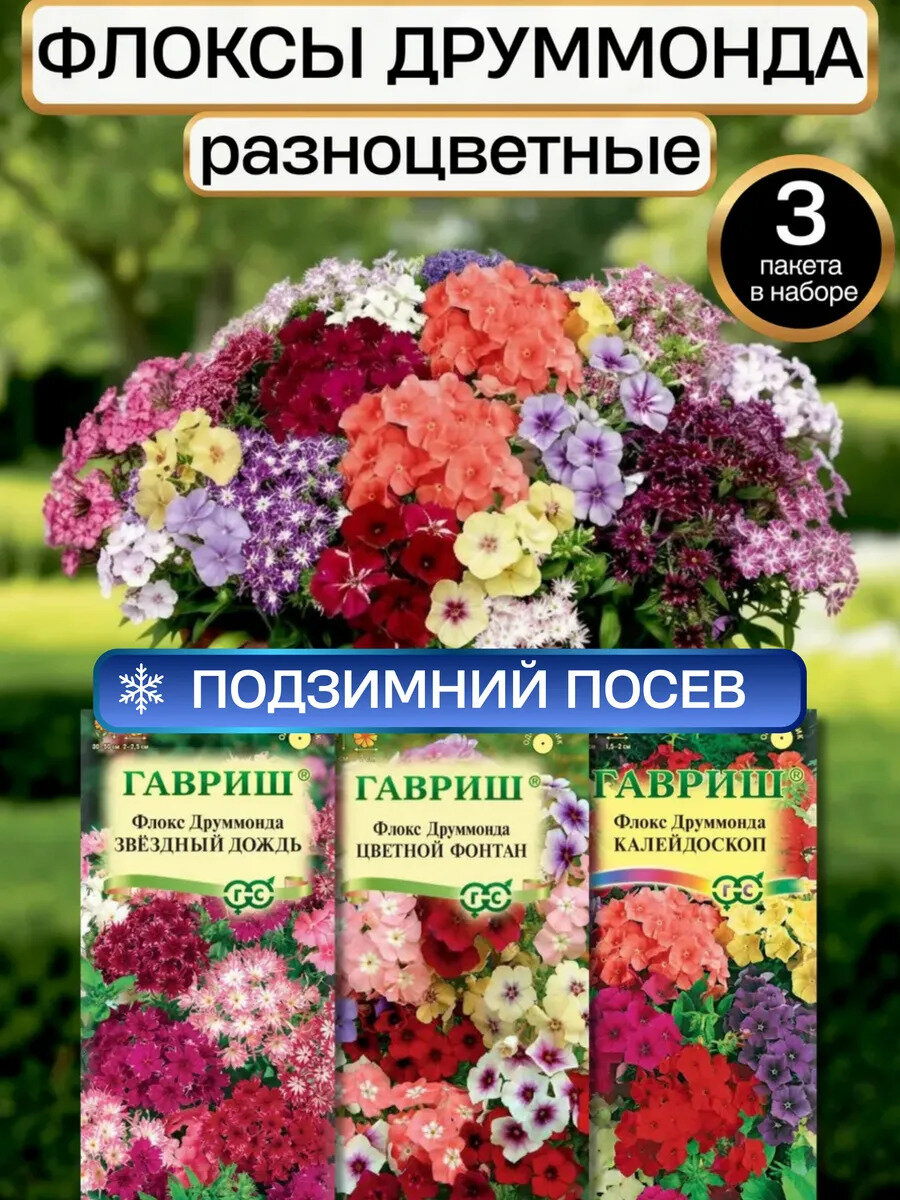 Семена флоксов друммонда однолетних смесь 3 пакета 0,1 гр