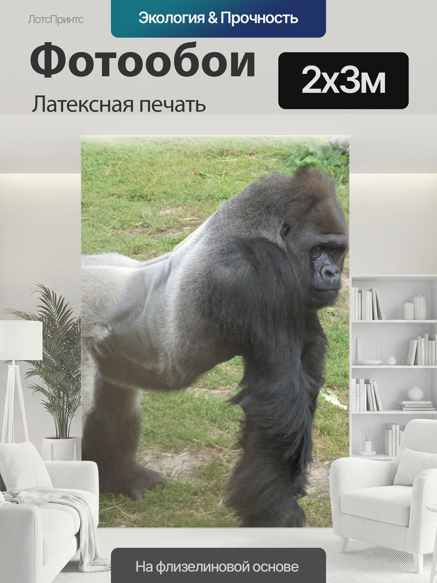 Фотообои моющиеся ударопрочные "Сильвербэк Gorilla позирует Горилла создает в нем корпус в зоопарке. серебряная горилла обезьяна дикая природа." 200x300 см. латексная печать