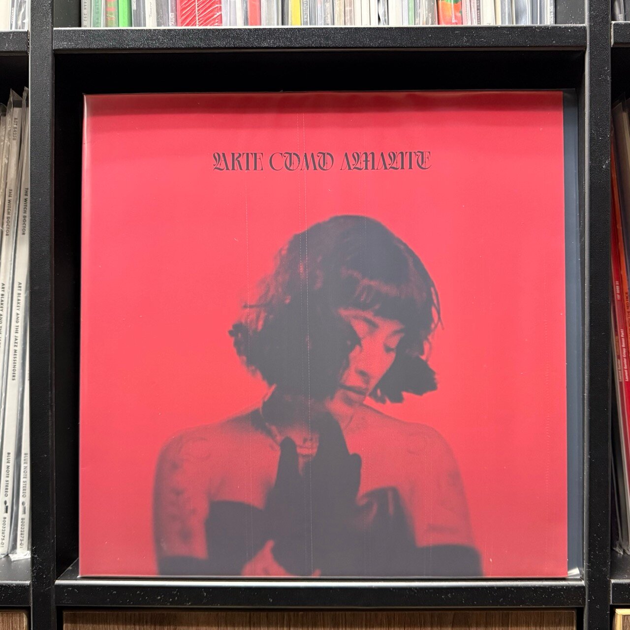 Виниловая пластинка Indira PAGANOTTO - Arte Como Amante (mint, factory not sealed, LP) LP Винил