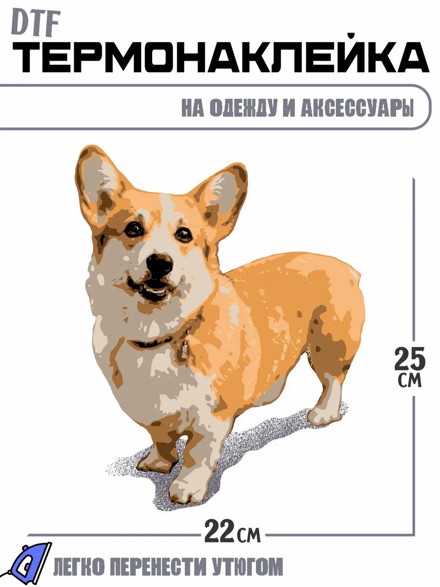 Термонаклейка Корги