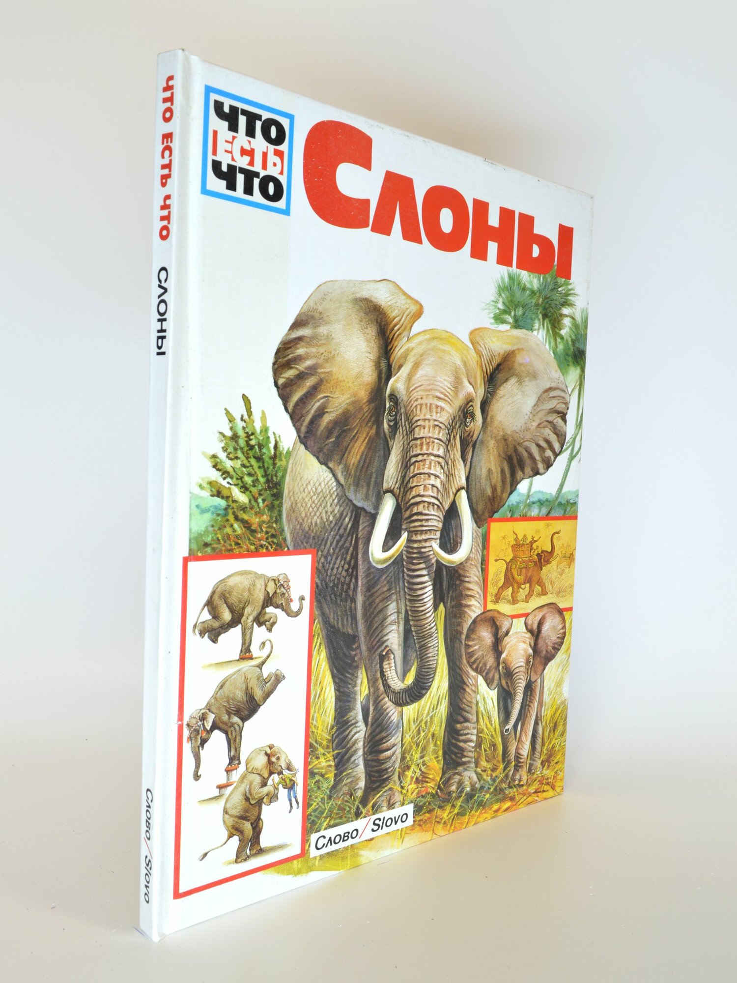 Что есть что. Слоны. Кете Райнер, Зедлаг Ульрих. Букинистические книги в отличном состоянии.