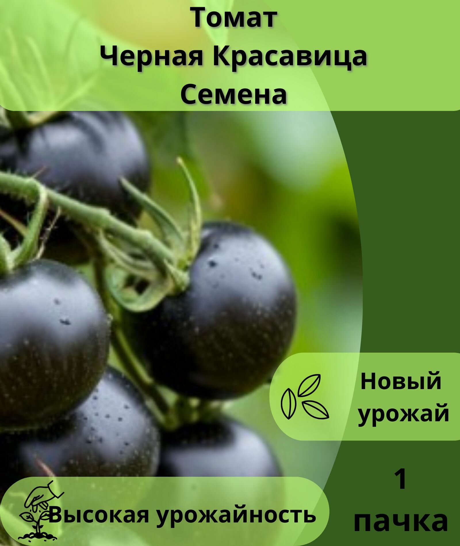 Томат Черная красавица, семена 10шт