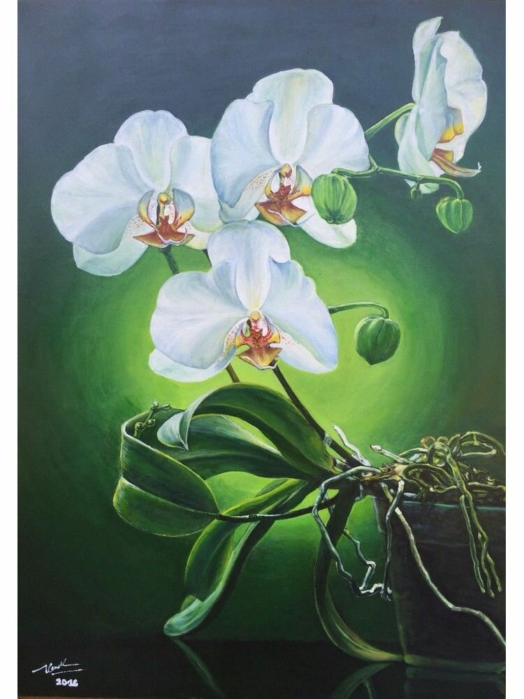 Алмазная картина "Белые цветы орхидеи" / Алмазная вышивка / Круглые стразы 40х50 см