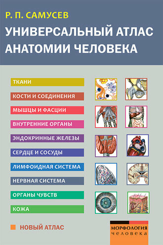 Универсальный атлас анатомии человека. Учебное пособие для студентов медицинских учебных заведений