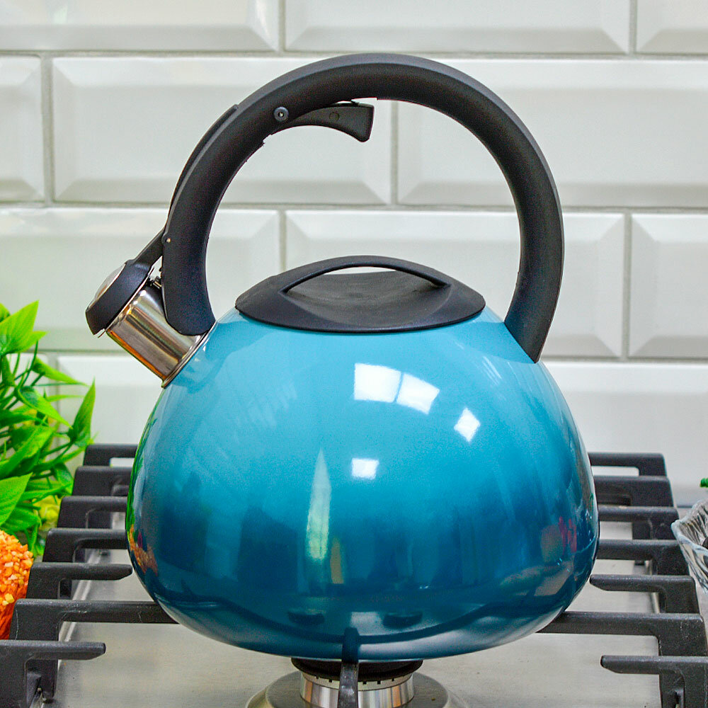 Чайник 2.8л со свистком, индукция, двухцветный, синий