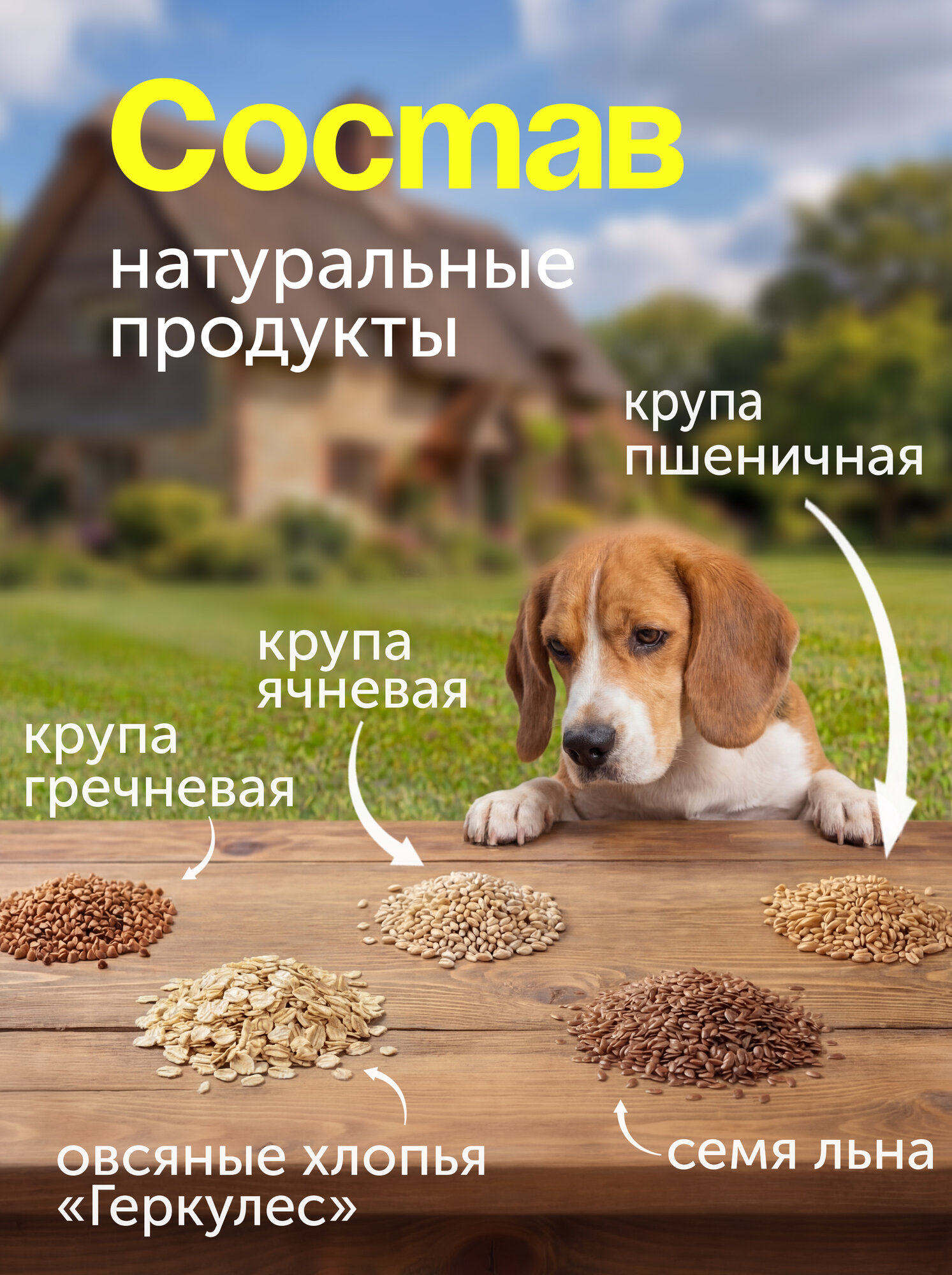 Каша для собак всех пород, рацион №2, гречка и семена льна, 5 кг — фото 1