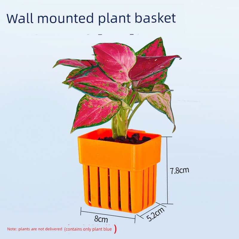 Корзина для растений в аквариум, гидропонная, с фиксацией, для выращивания бамбука в воде, регулируемая по высоте, для