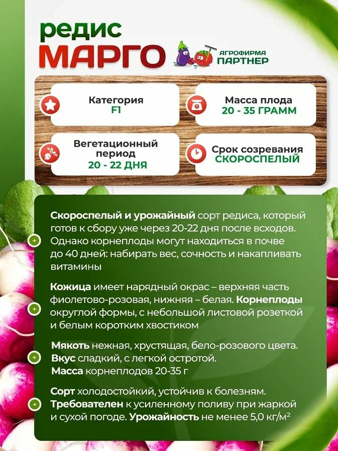 Семена редиса Марго — фото 1