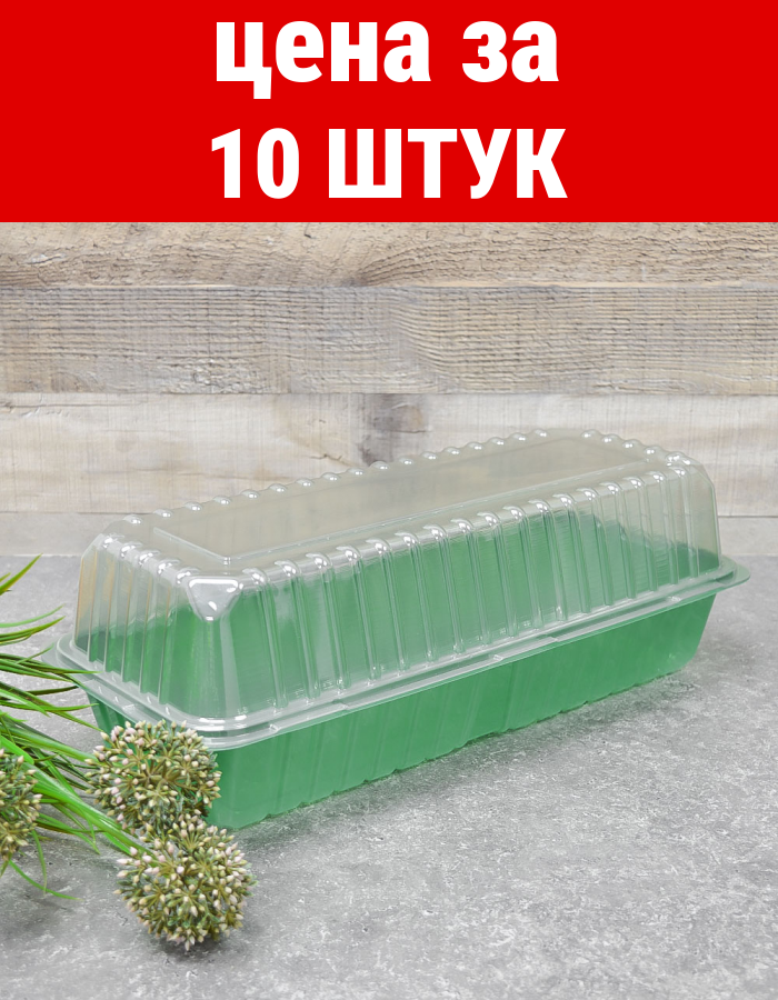 Комплект 10 шт, Парник для рассады 2 места, 39*16*6.5см (В2*570, Д2*570)
