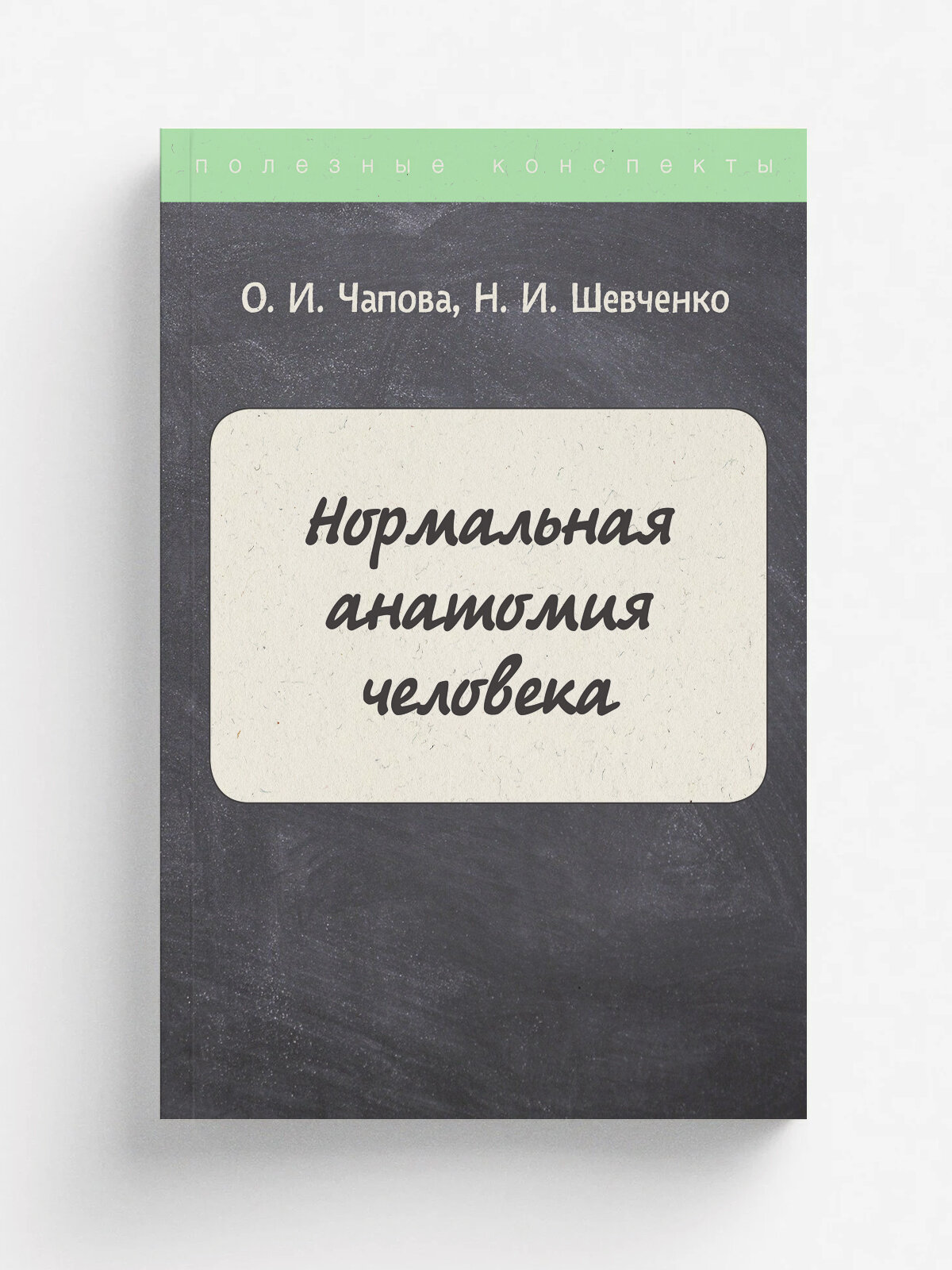 Нормальная анатомия человека