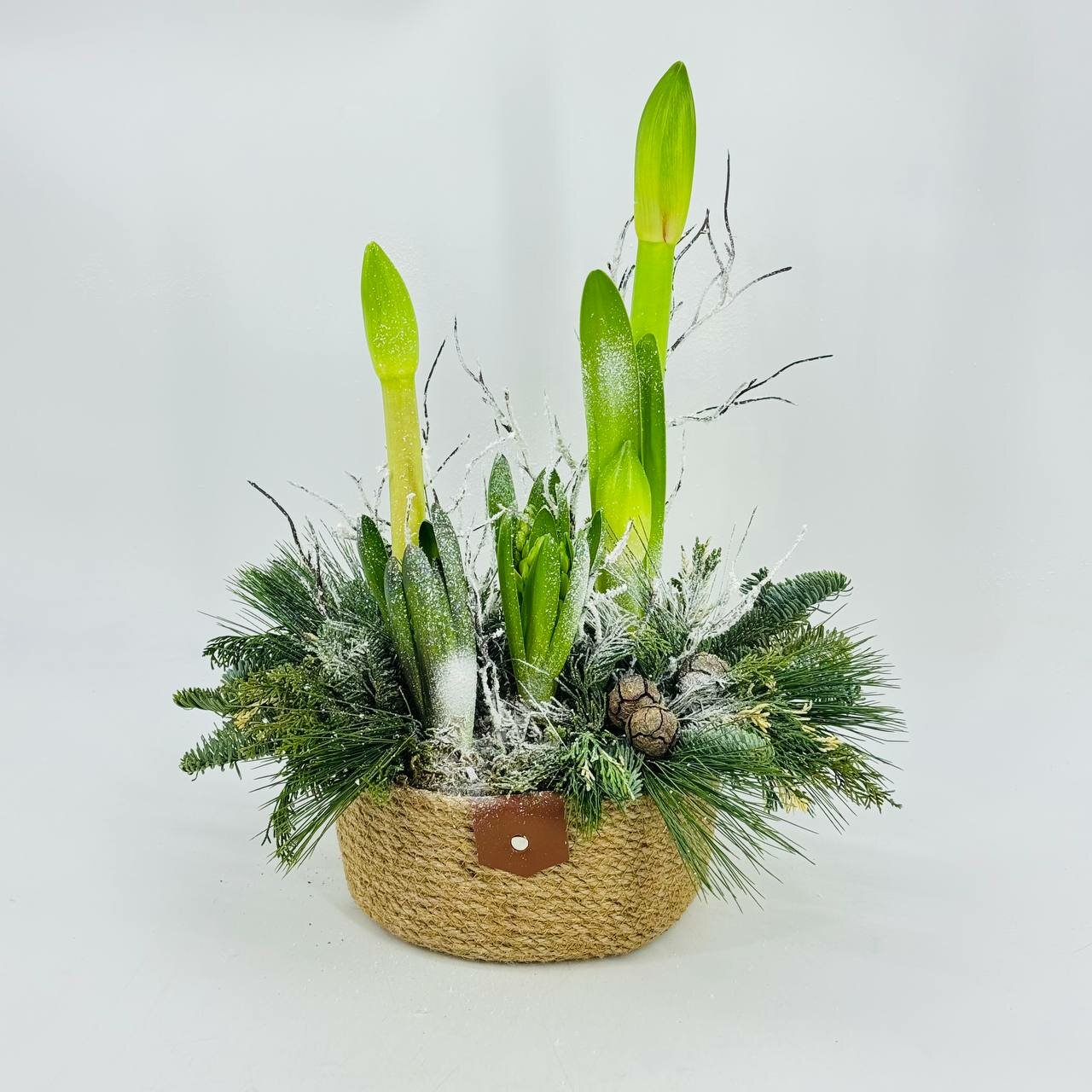 Зимний букет, композиция в плетёном кашпо с живой хвоей нобилис, первоцветами гиацинт и амариллис