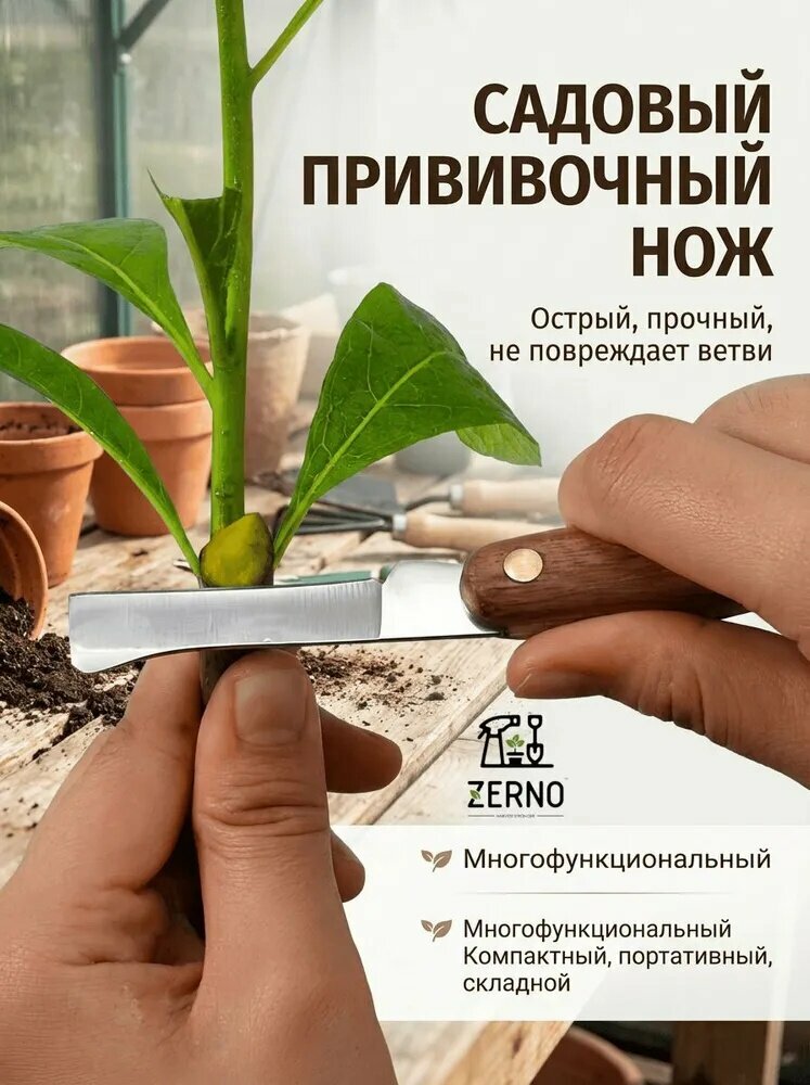 Секатор