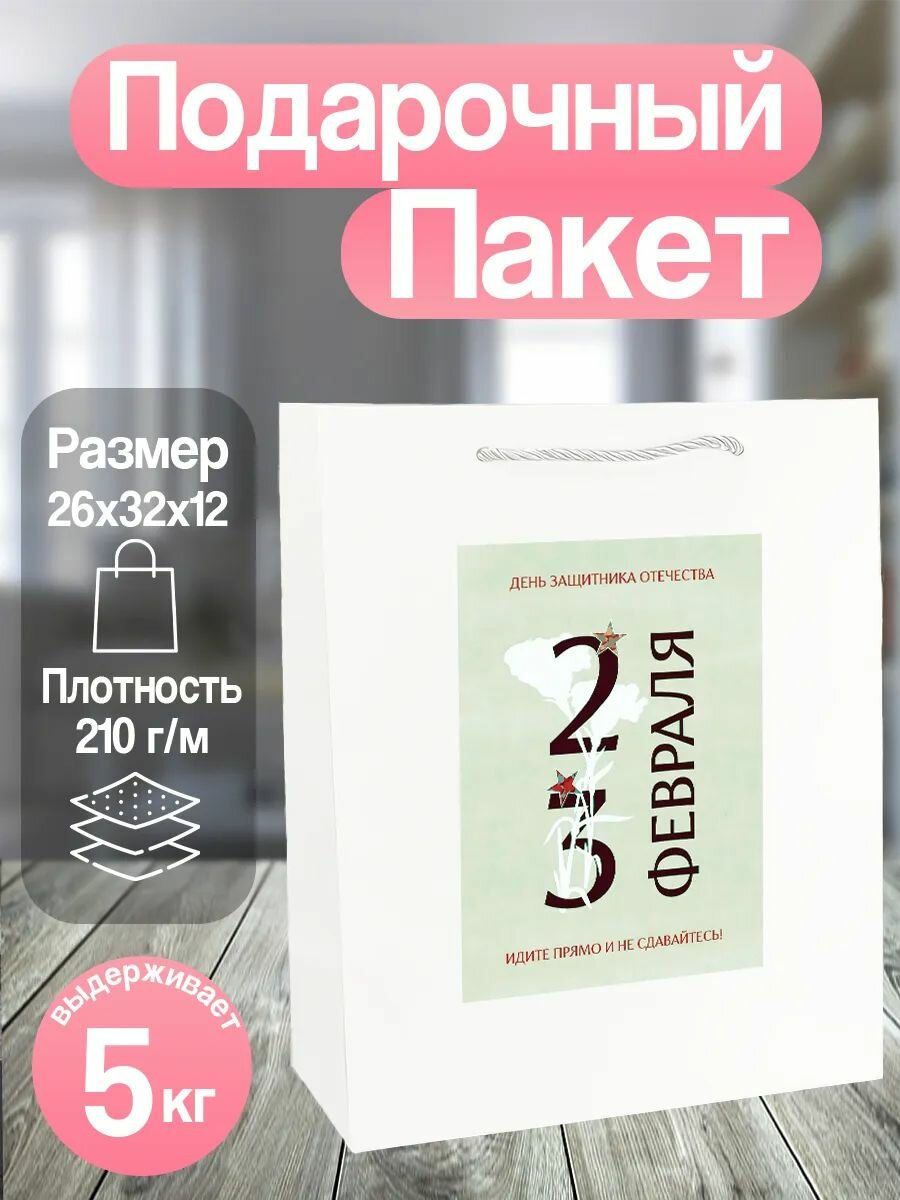 Пакет подарочный на 23 февраля, упаковка для подарка, 26х31 см