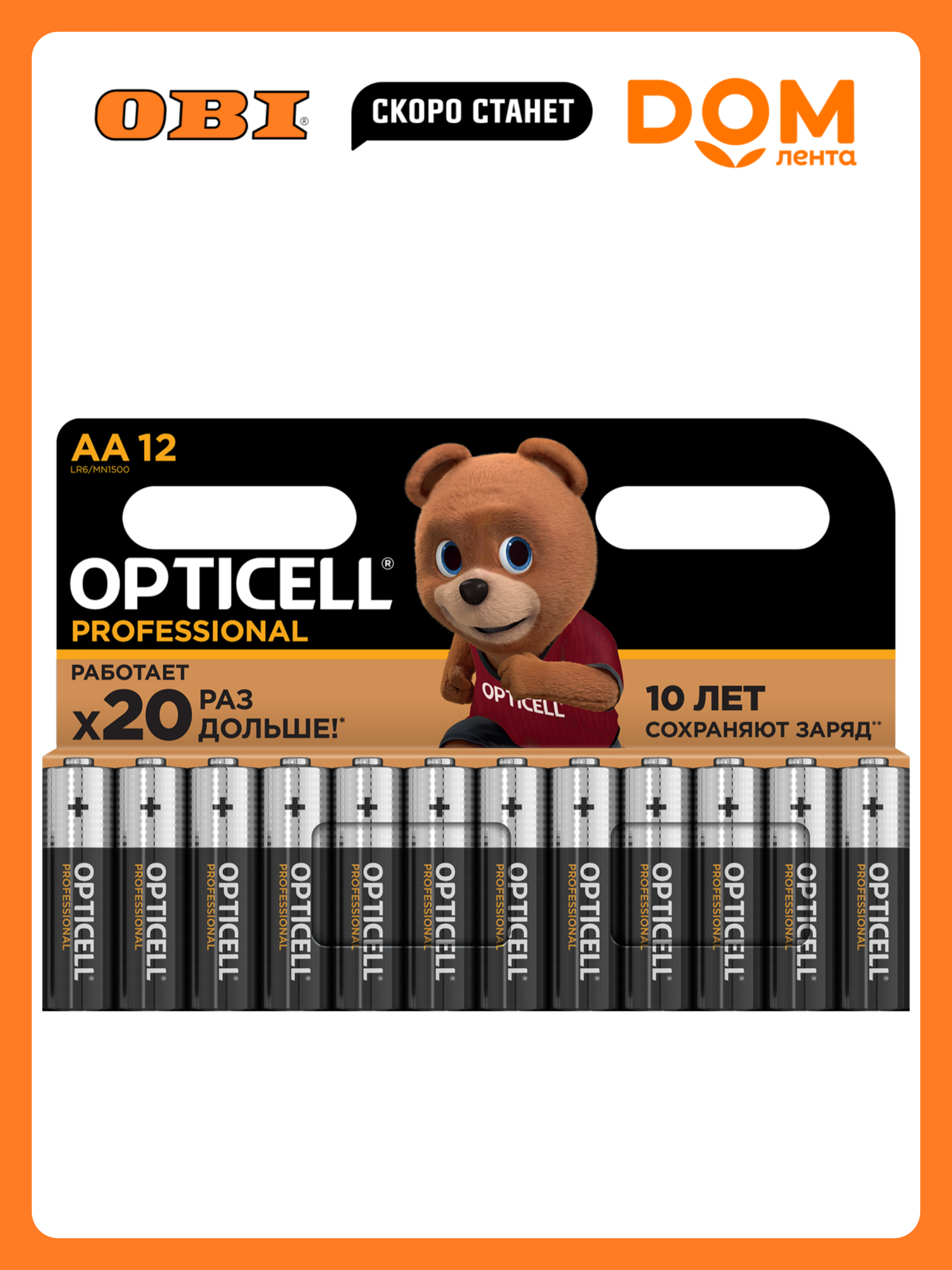 Батарейки Opticell Professional 12AA, алкалиновые, черные, 12 штук