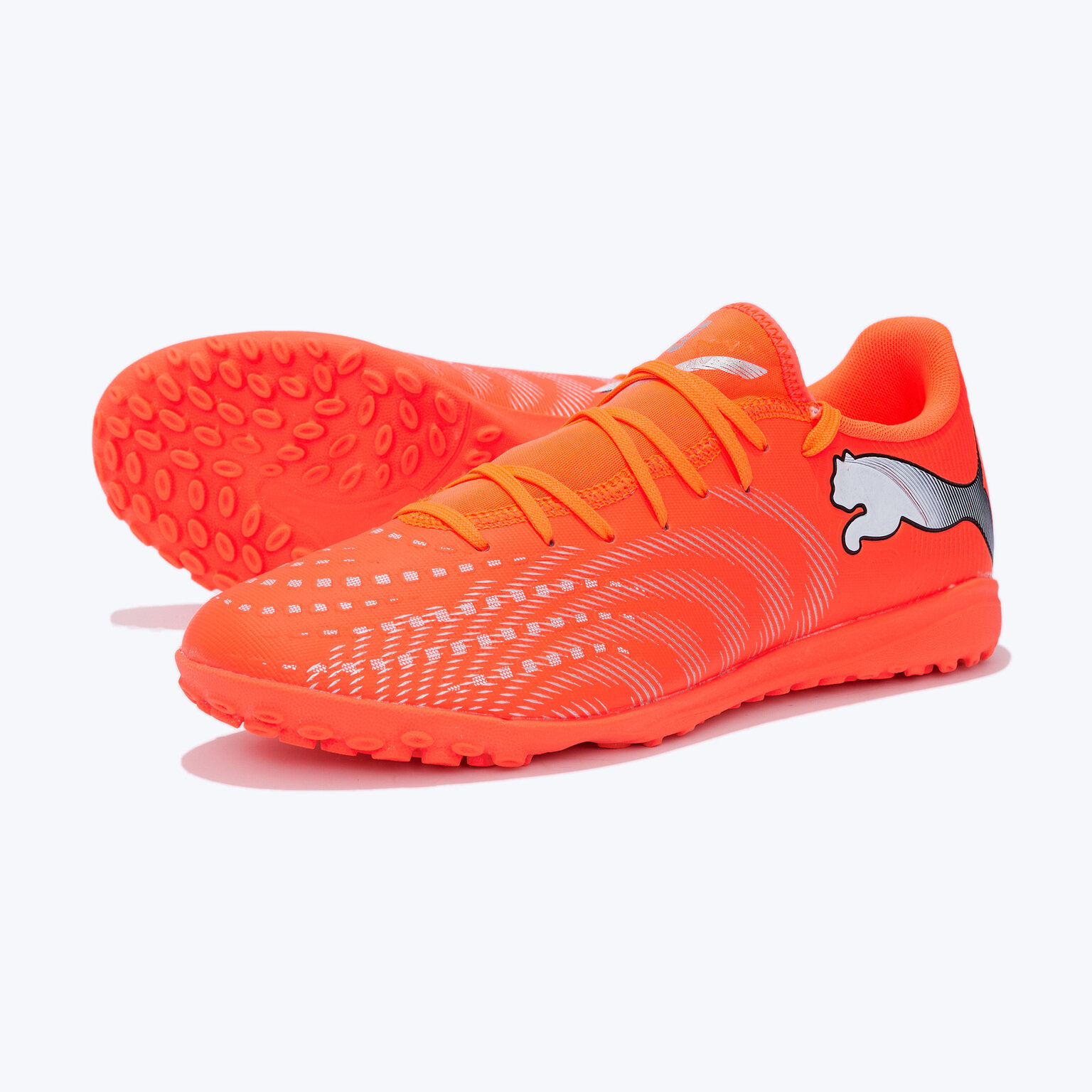 Сороконожки