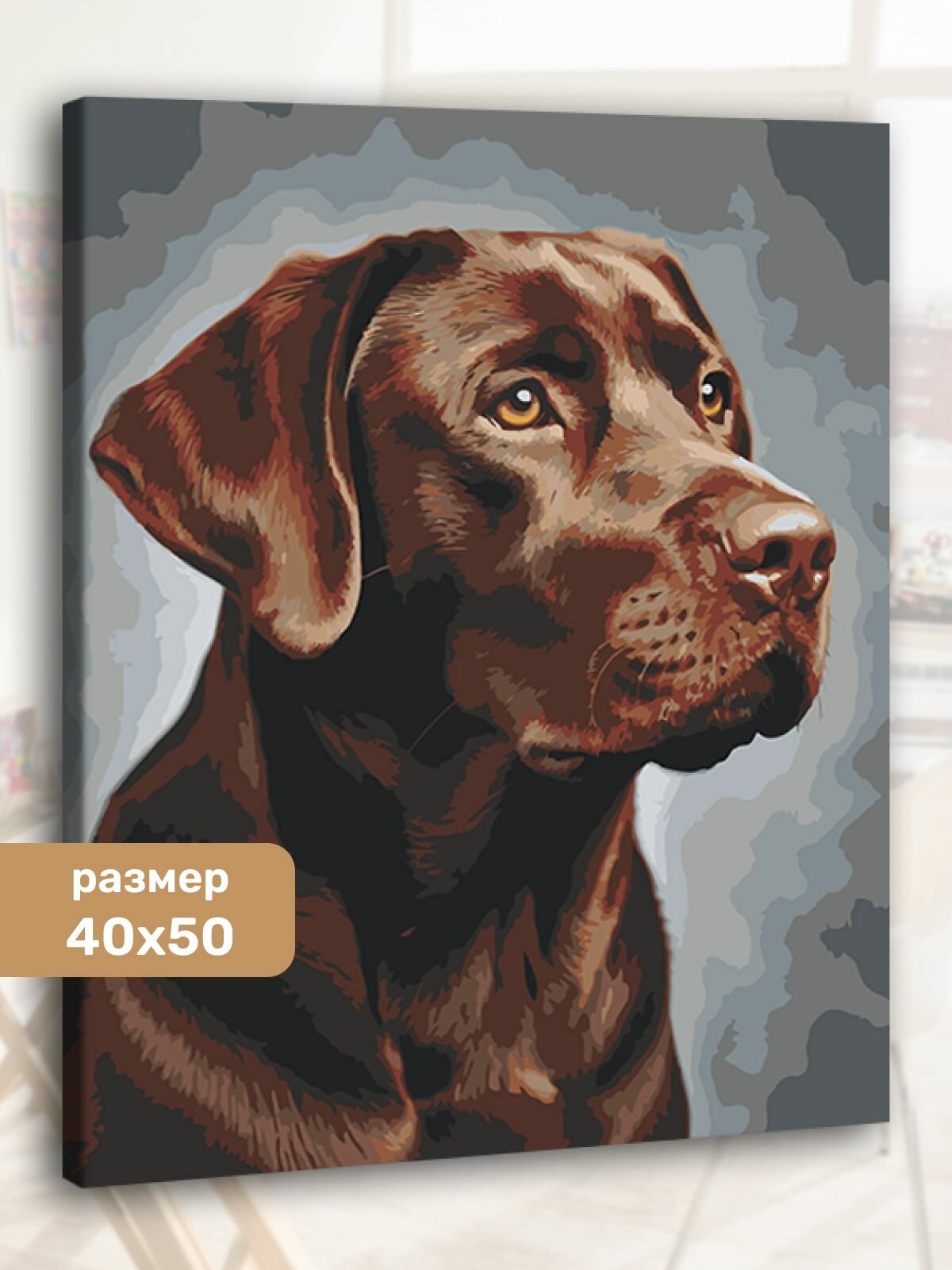 Картина по номерам на холсте Лабрадор шоколадный 40х50