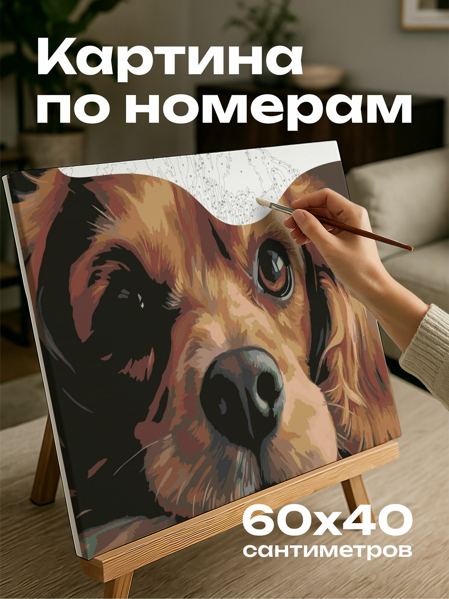 Картина по номерам 60x40 см, картина, масляная, кокер-спаниель, выразительные глаза, шелковистая шерсть