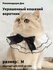 Бабочка для кота