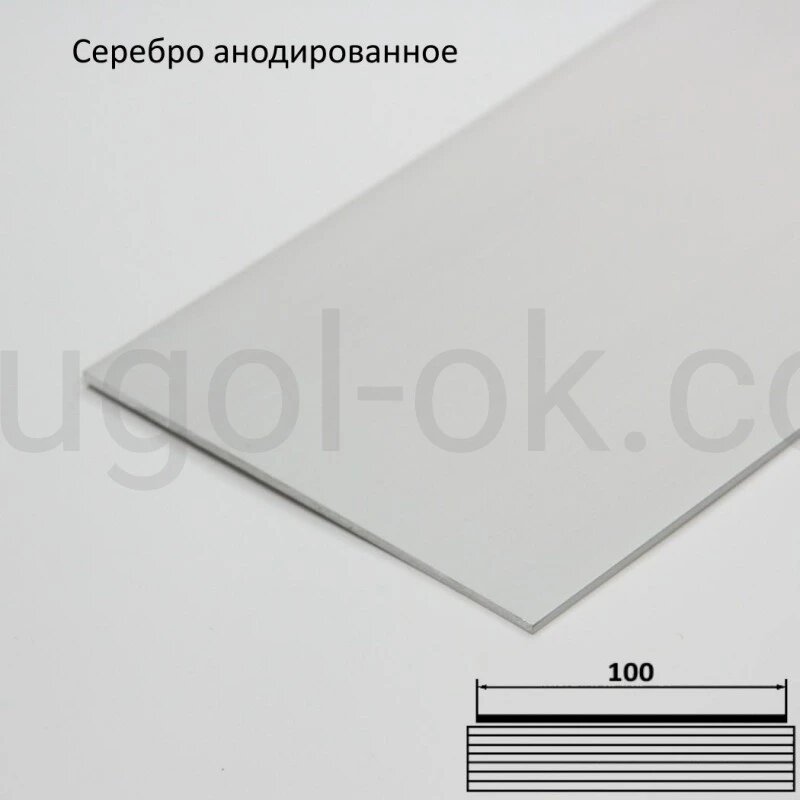 Алюминиевая полоса декоративная 100*2 анод. бесцветная 3м Донской алюминий