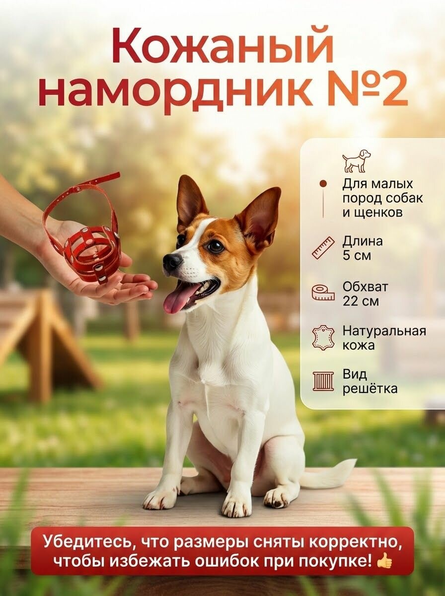 Намордник из натуральной кожи для собак средних и мелких пород, щенков №2. Длина 5 см. Объём 22 см.
