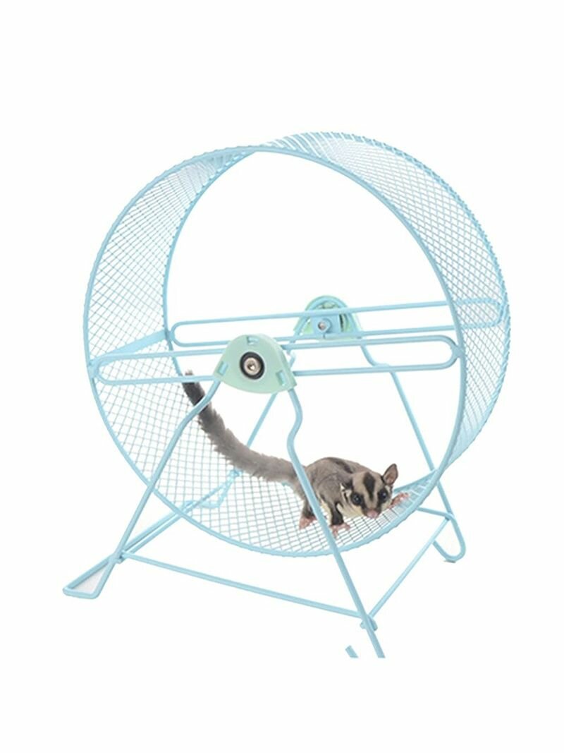 Беговое колесо для животных