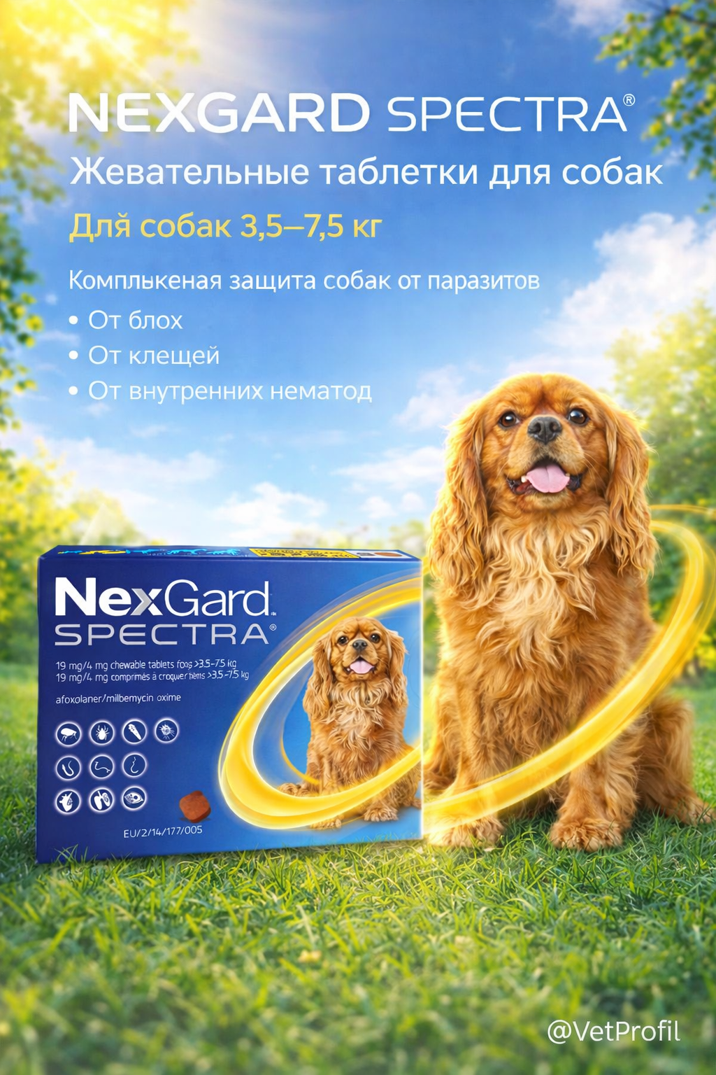 Жевательные таблетки от блох и клещей Boehringer Ingelheim Нексгард Спектра S, для собак, 3,5-7,5 кг, 3шт