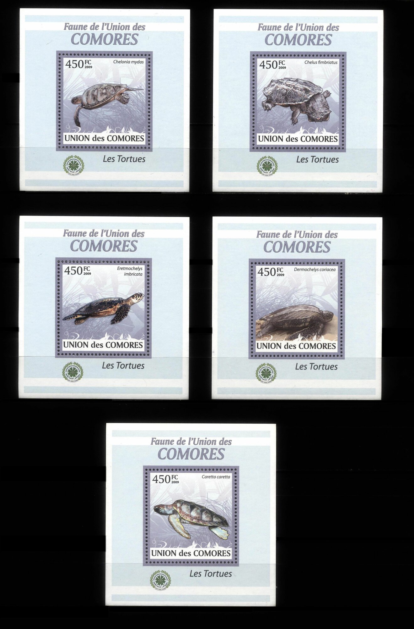 2009 г. Коморские острова. Фауна. "Черепахи." Серия из 5 чистых блоков.