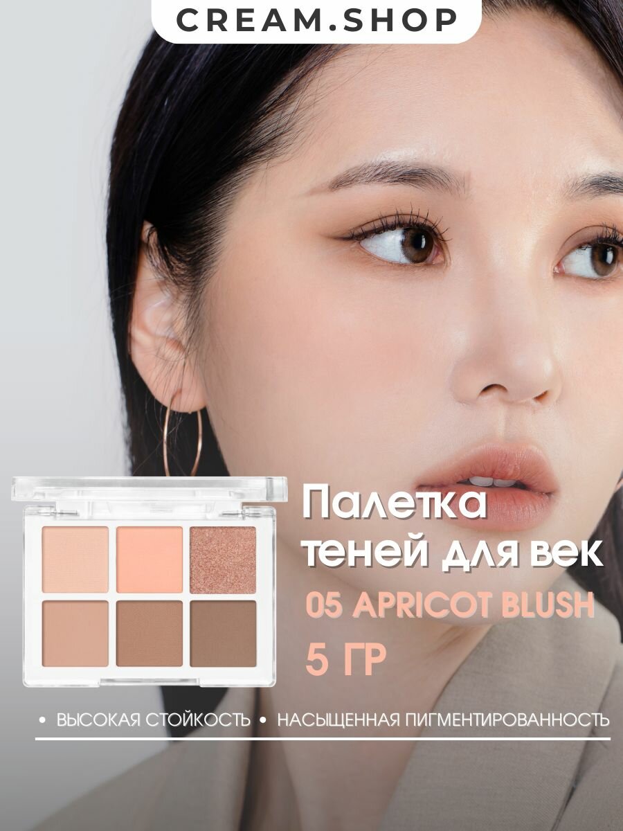 BBIA Тени для век палетка, 6 холодных оттенков, 05 Коричневый
