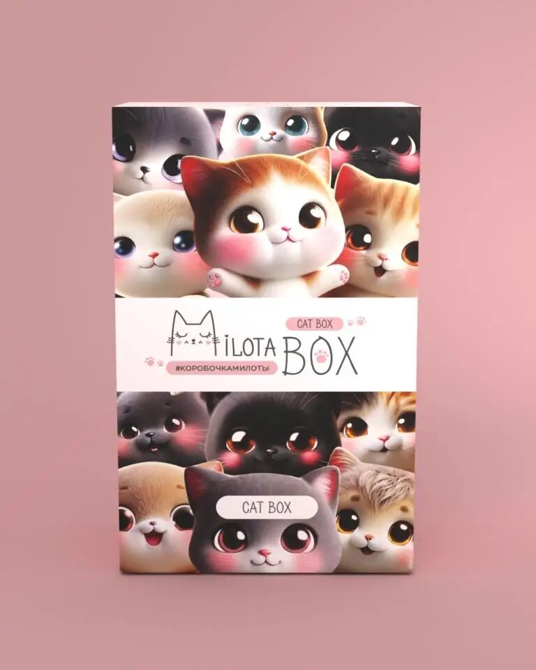 Подарочный набор MilotaBox mini Cat MBS003 коробка сюрприз 22х14х9