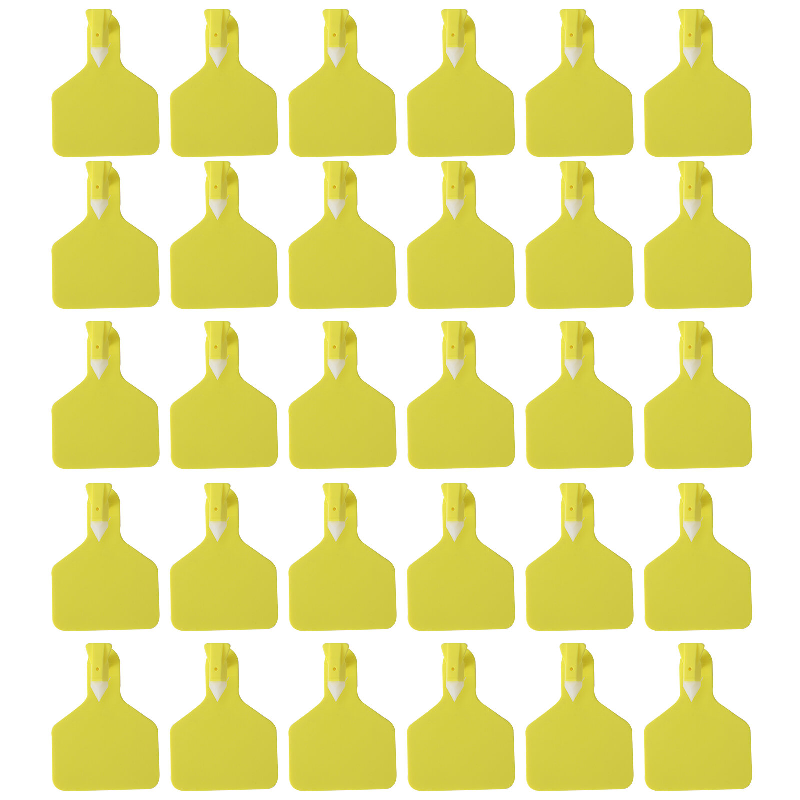 25 шт. пустых ушных бирок для скота (КРС), без надписей, 8.1x6.1 см