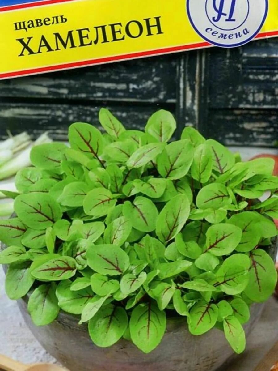 Щавель Хамелеон (РС-1), 0,1 г, Семена Престиж