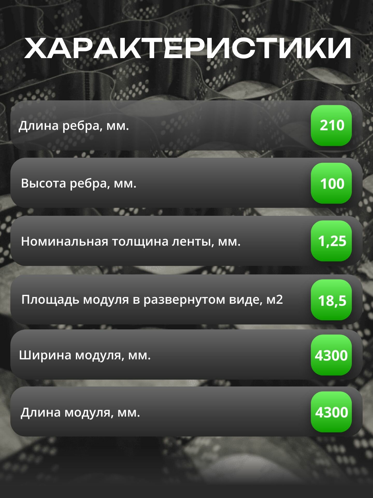 Георешетка объемная старатель «Фортис», 210x100 мм, перфорированная, для укрепления склонов, для дорожек — фото 1