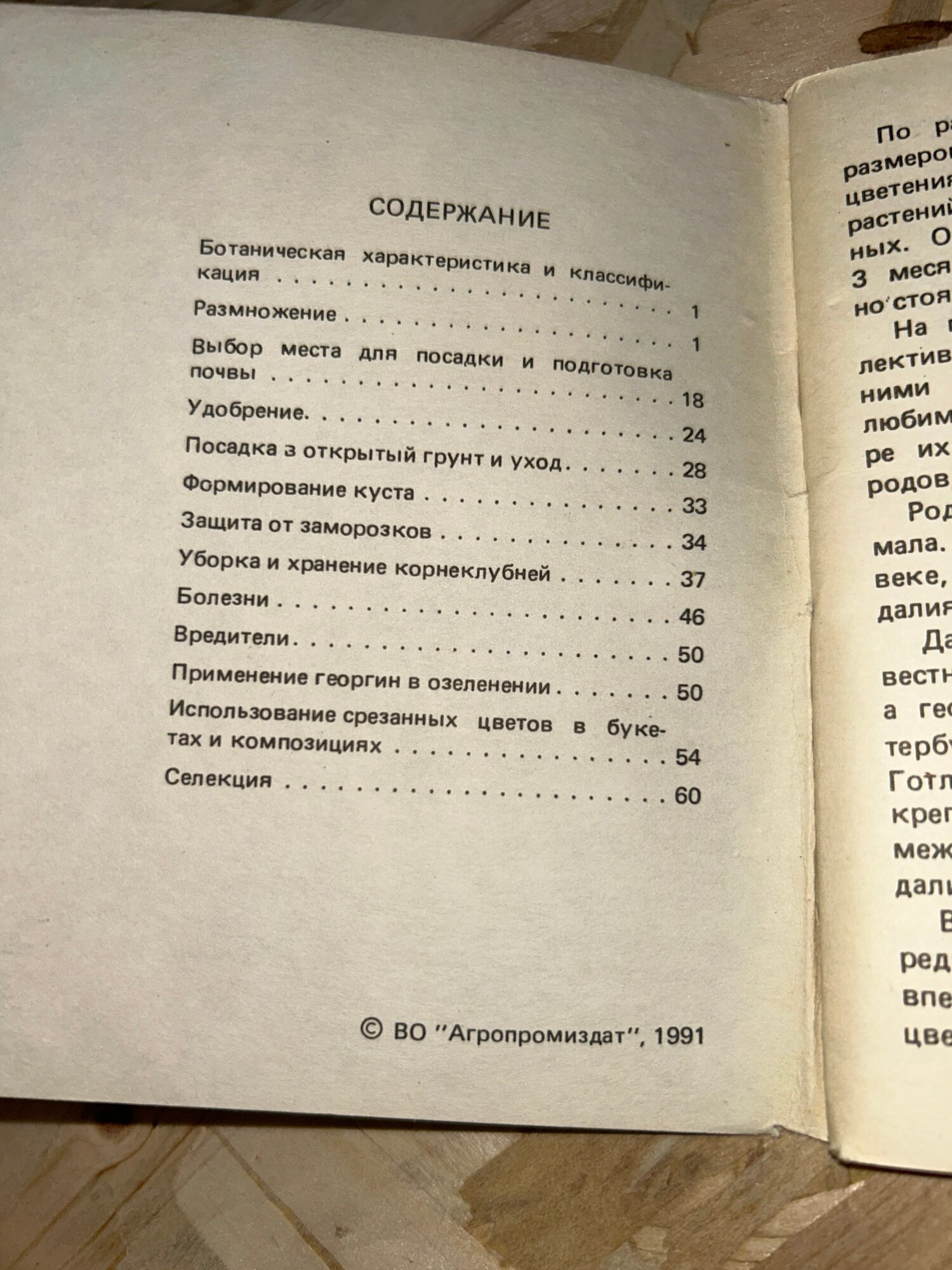 Георгины 1991 г. ISBN 2049439464180 — фото 1