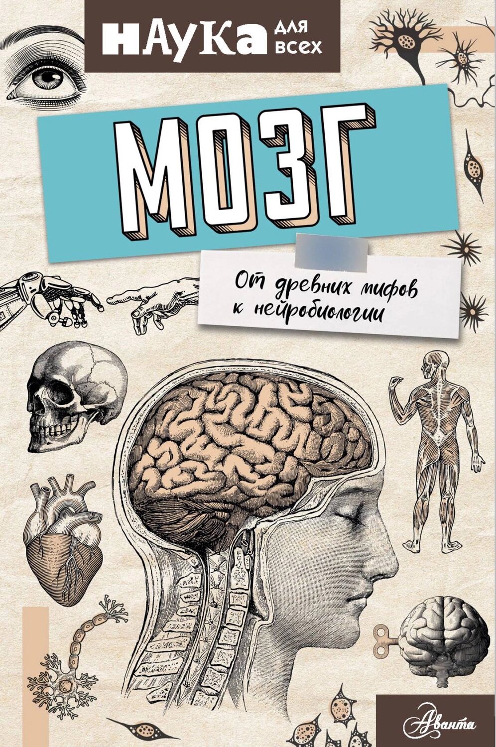 Мозг. От древних мифов к нейробиологии [Цифровая книга]