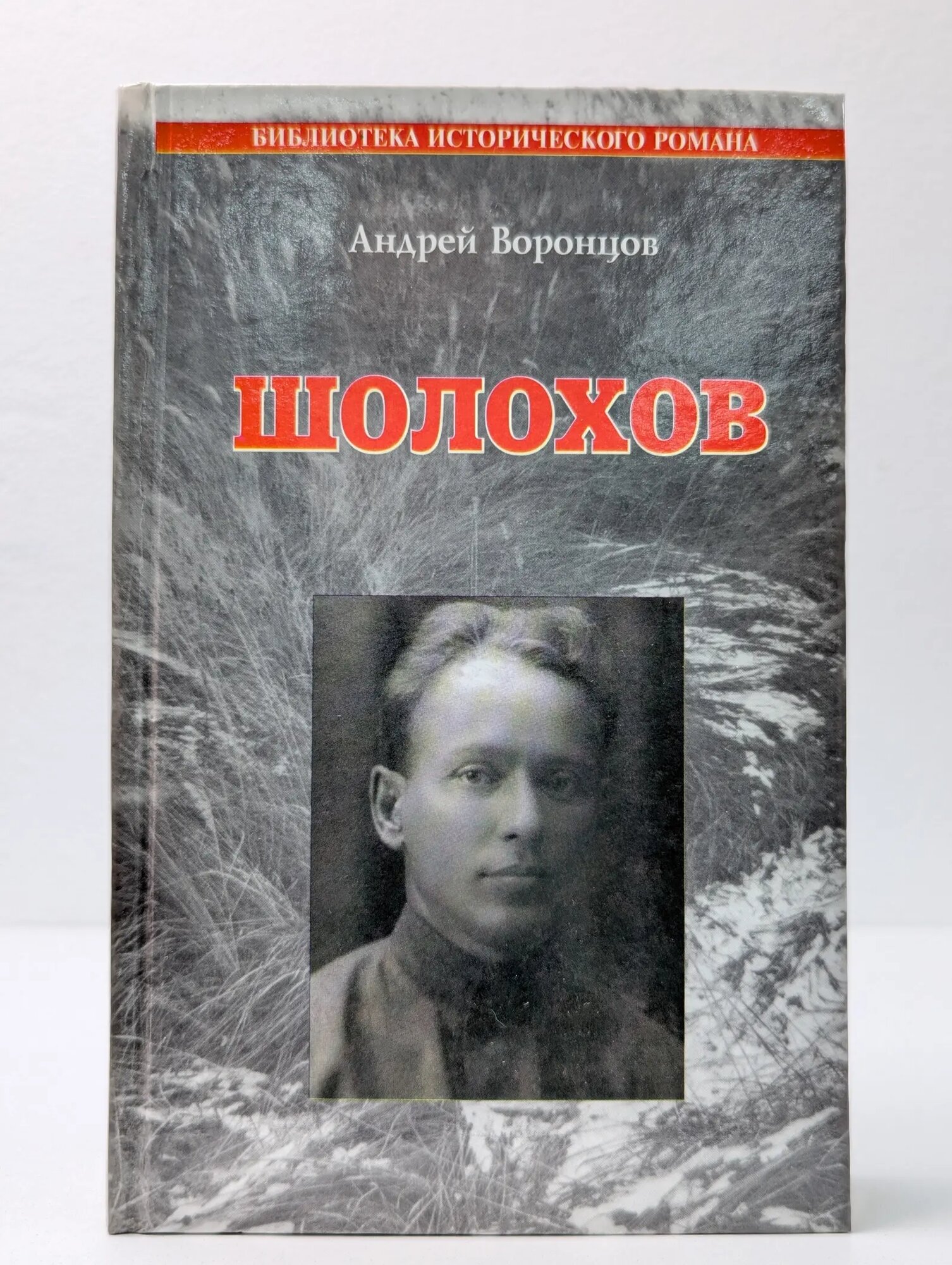 Шолохов Воронцов Андрей Венедиктович 2003