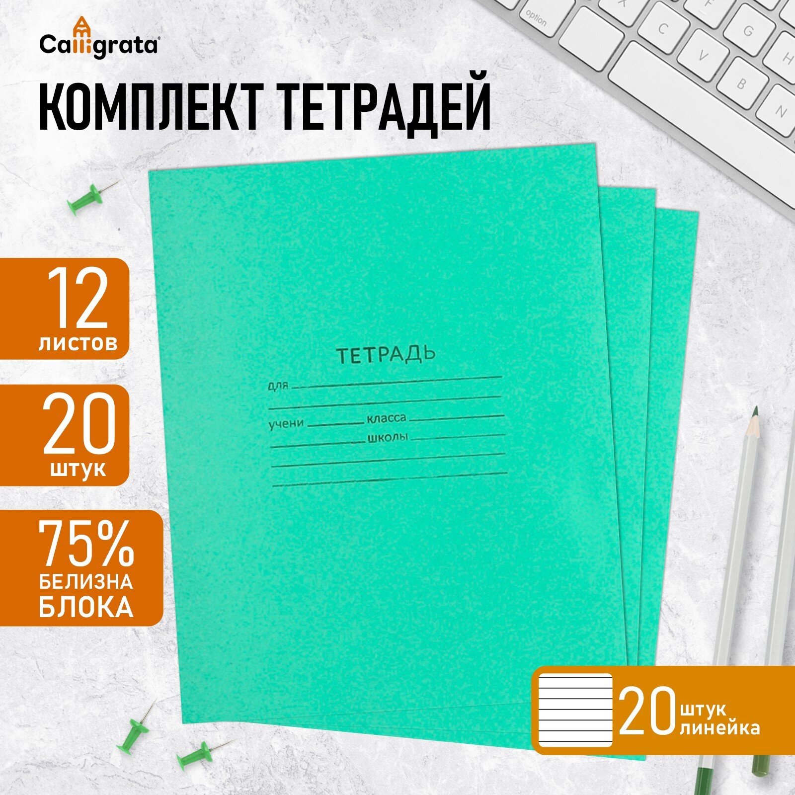 Тетради «Зелёная обложка» 20 штук, 12 листов в линейку, эконом, плотность 60 г/м²