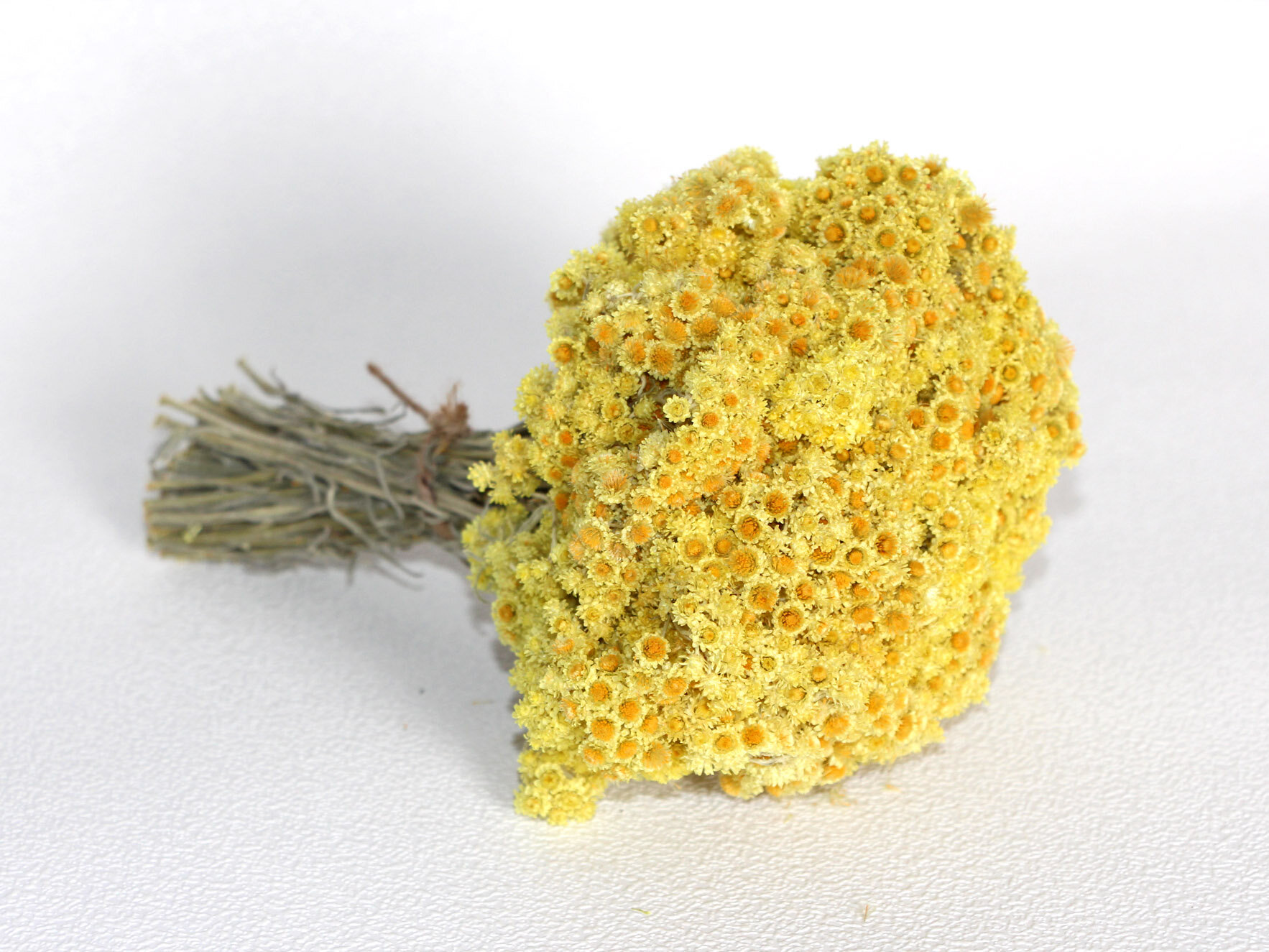 Бессмертник сушеный, ручной сбор, натуральный