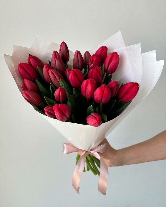Букет из 25 тюльпанов - нежный букет свежих цветов, красивый весенний букет