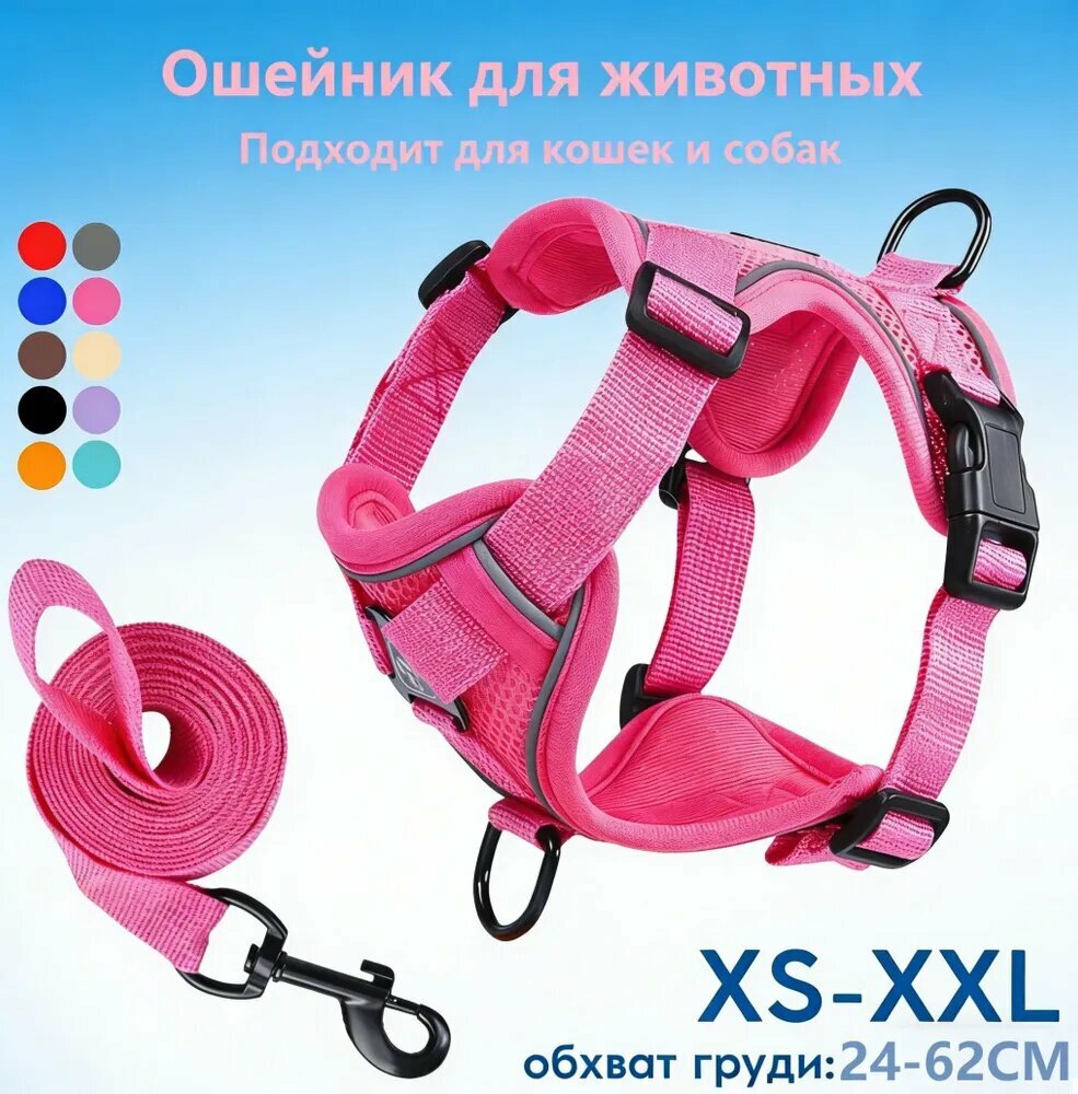 Эксклюзивная модель для выгула