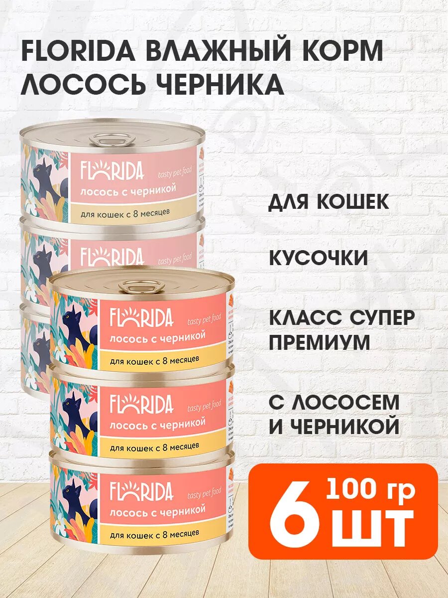 Корм влажный Florida для взрослых кошек, лосось и черника, 100 г х 6 шт