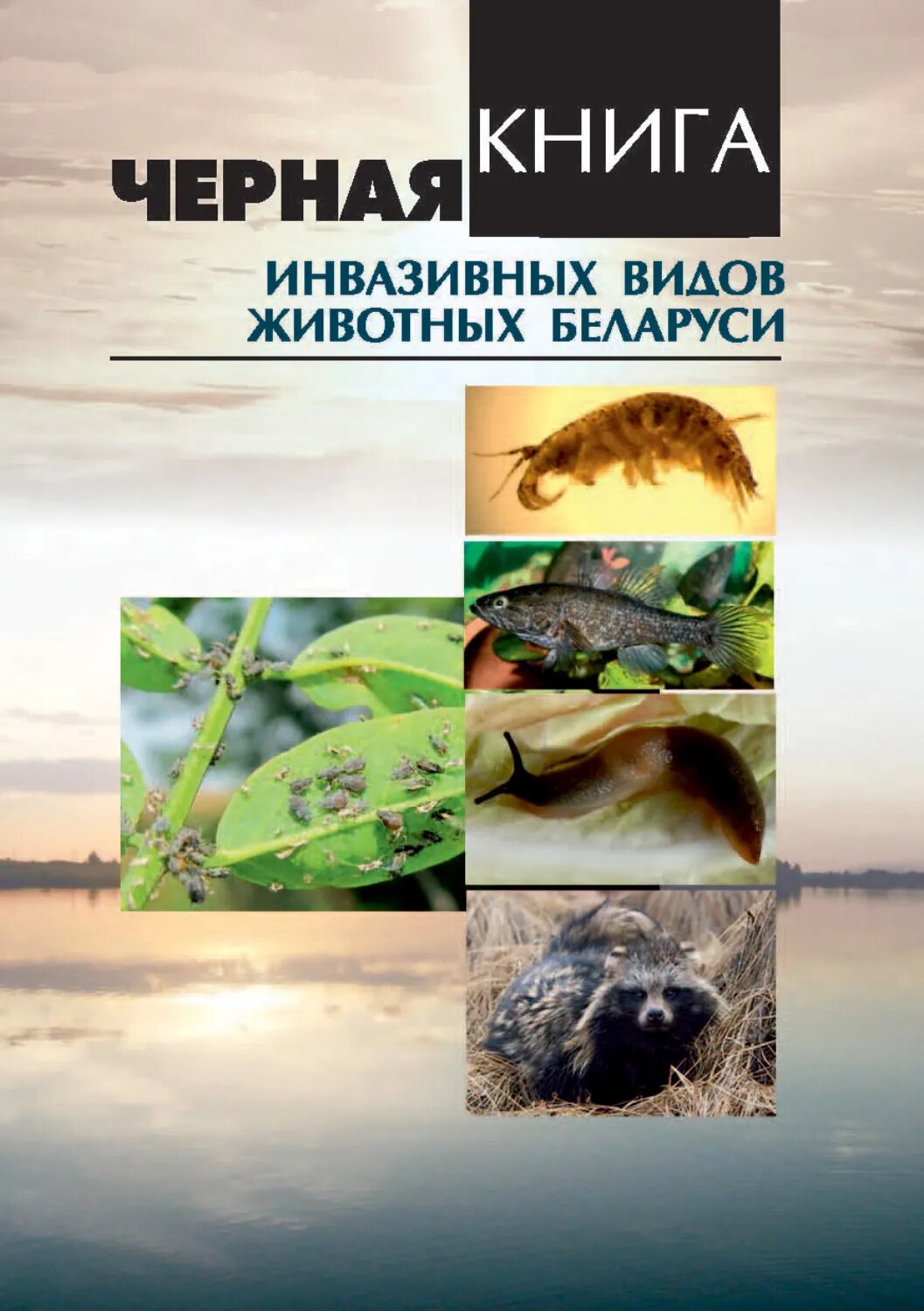 Черная книга инвазивных видов животных Беларуси [Цифровая книга]