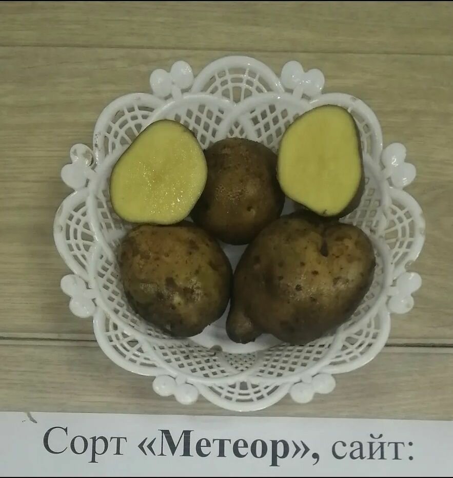 Метеор - 2 кг. 2025 года