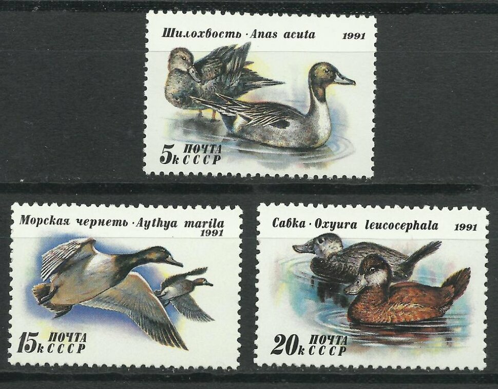 СССР, 1991. (6334-36) Утки