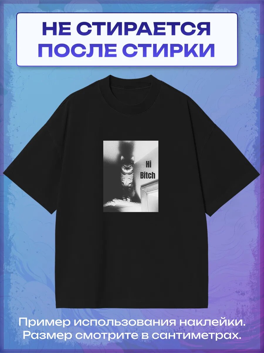 Термонаклейка hi bitch — фото 1