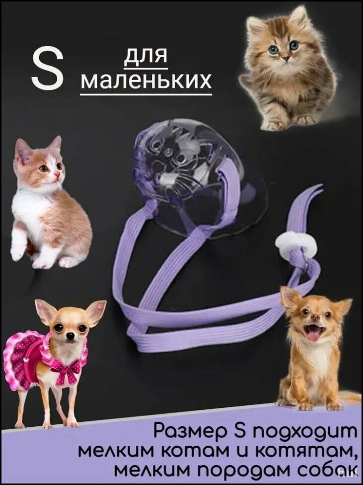 Эксклюзивный ветеринарный намордник M для кошек и собак, используемый при груминге, обеспечивающий безопасность во время стрижки, купания и расчесывания