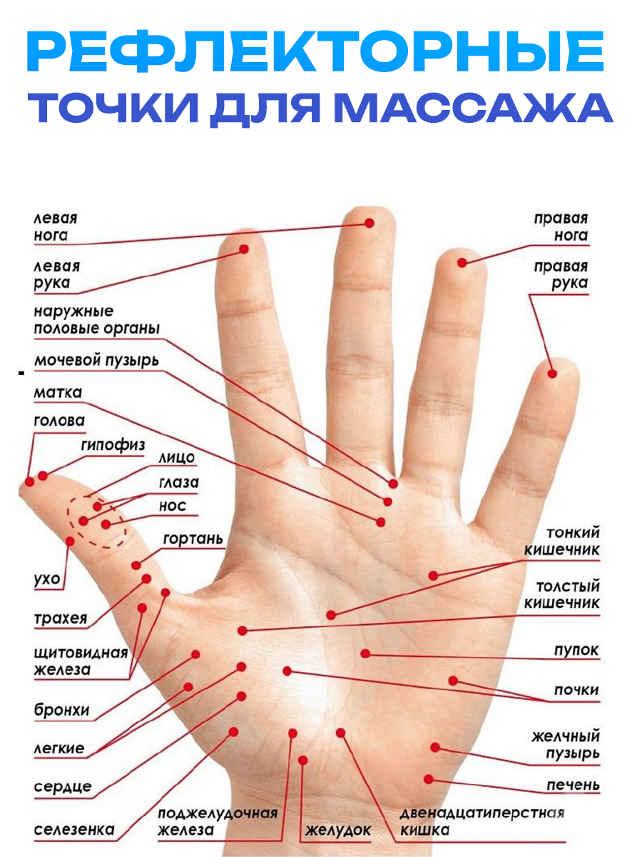 Массажеры для пальцев "Су джок", металл, акупунктурный массаж, 2 шт. Цвет Серебристый. — фото 1