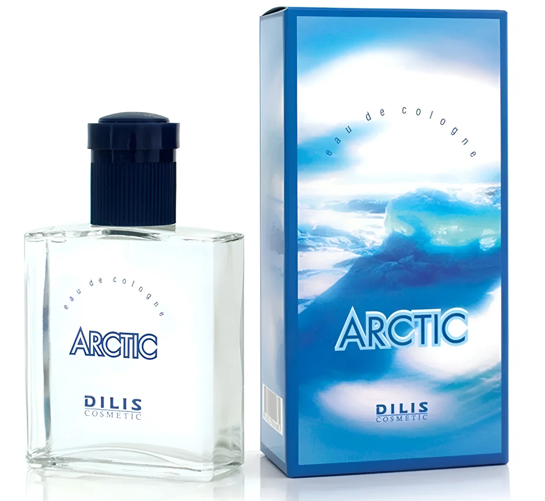 Одеколон Dilis Parfum Arctic, мужской, фужерный, перезаполняемый, 100мл
